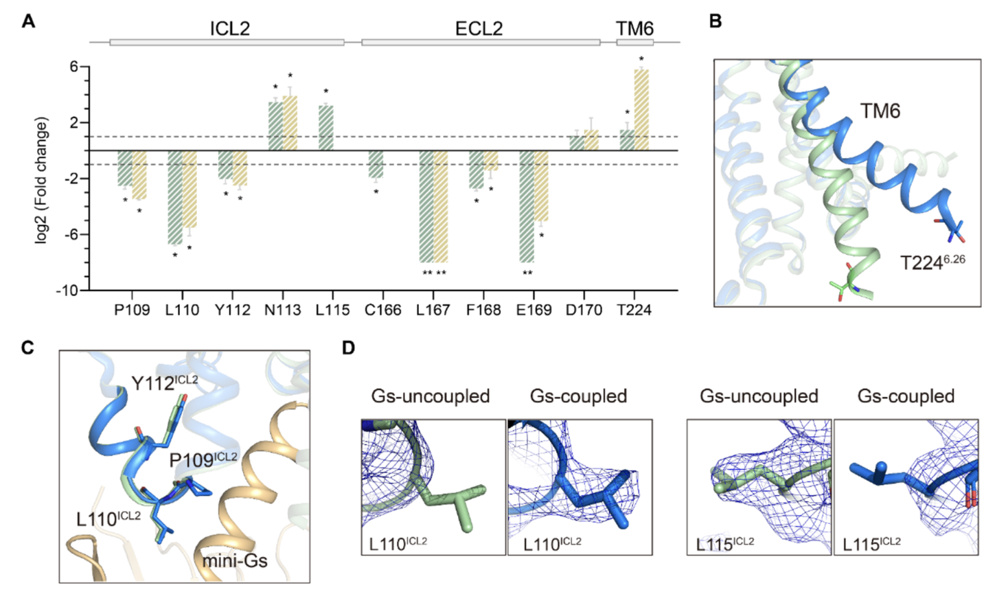 iHuman研究所水雯箐课题组及合作团队发展用于GPCR结构转变及动态性研究的质谱技术