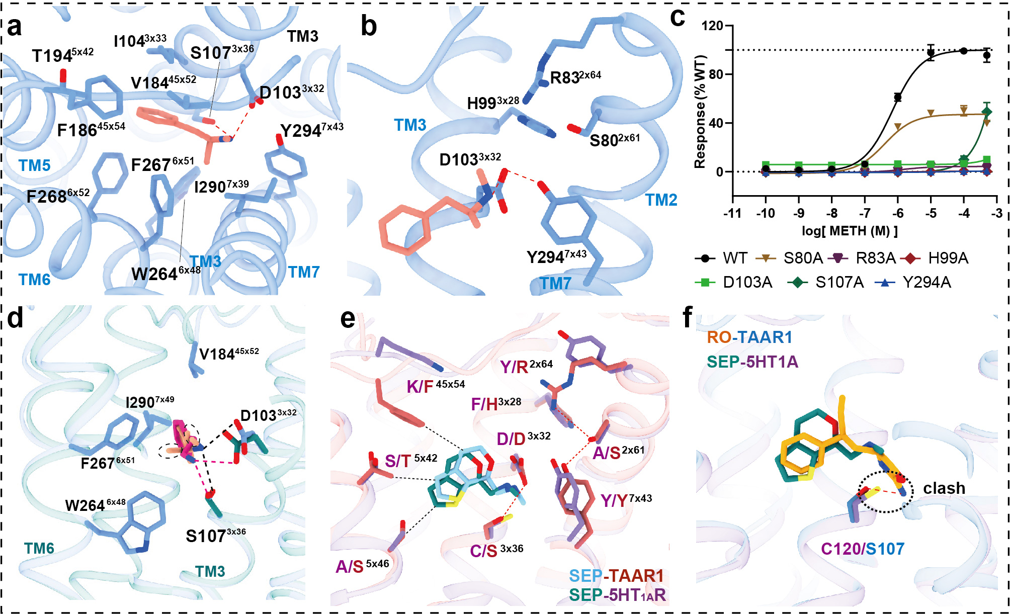 Breakthrough Discovery: Research team led by Professor Xu Fei jointly ...