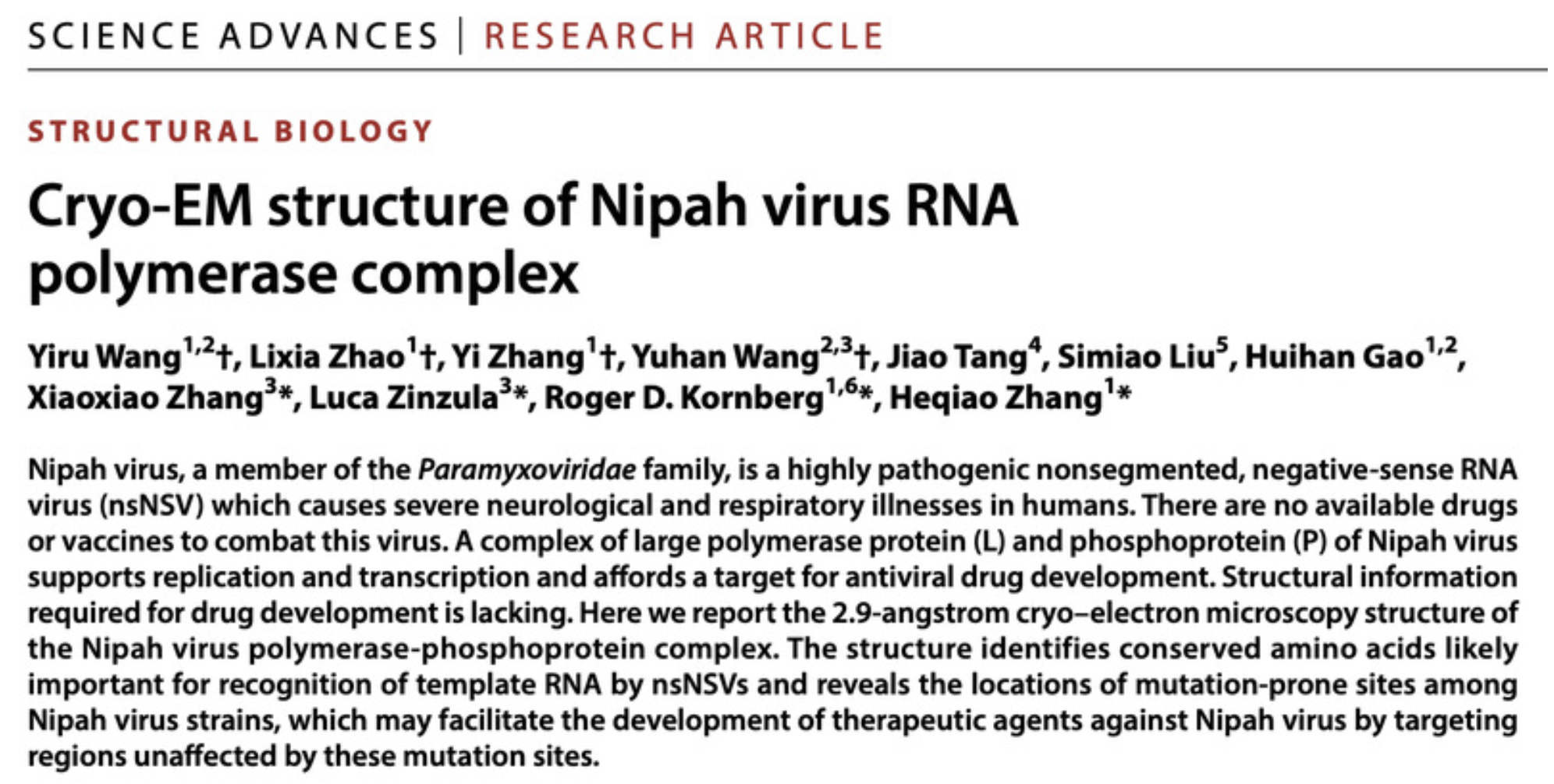 Structural insights into the Nipah virus polymerase complex