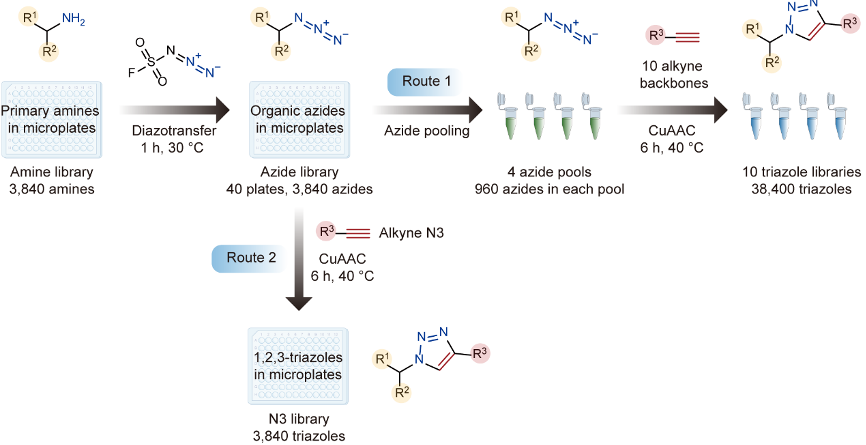 iHuman研究所水雯箐团队与合作者发展点击化学-亲和质谱技术用于GPCR配体筛选